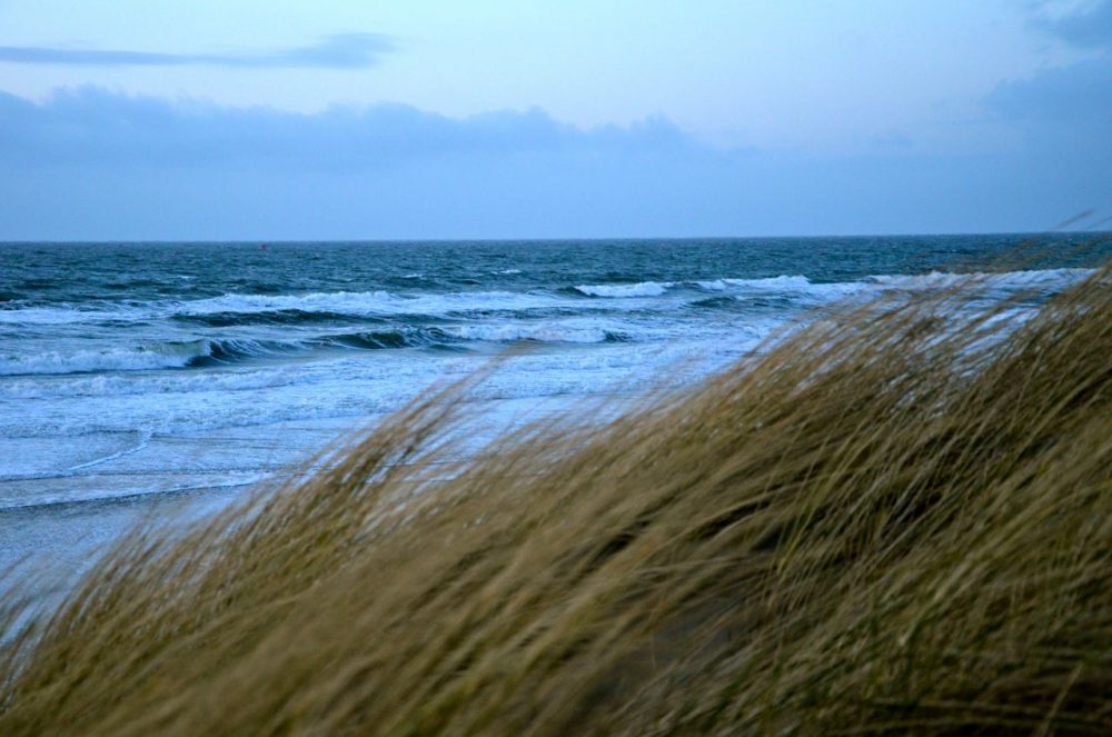 nordsee-duene-strand-hafer