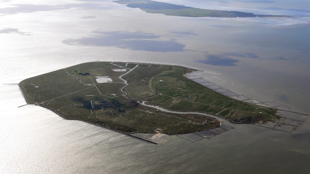 Ankerherz Blog Hallig Gröde Foto Raboe Wikipedia - 1