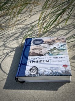 Hunderte Seesterne am Strand von Sylt angespült - das ist der Grund